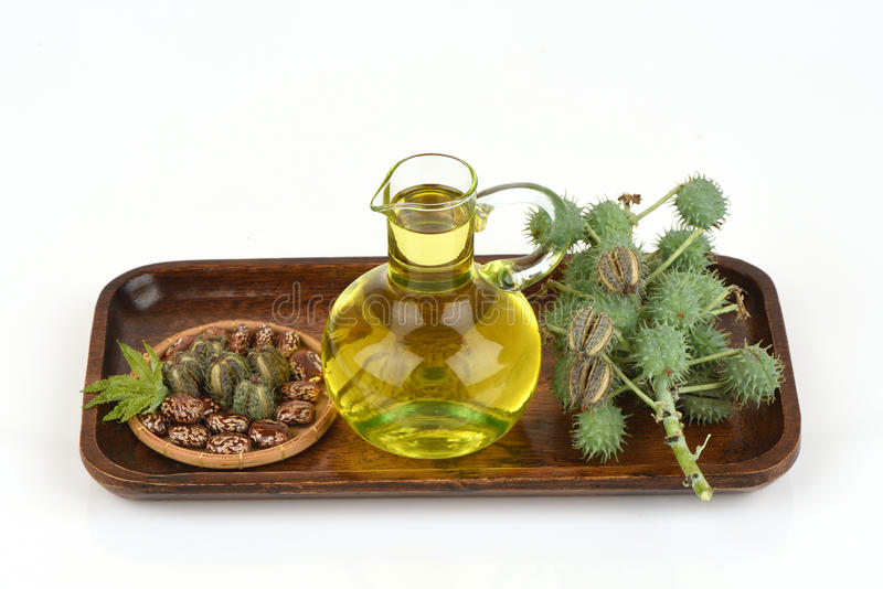 Castor Oil 250ml Pragathi Oils castor-oil-250ml-pragathi-oils